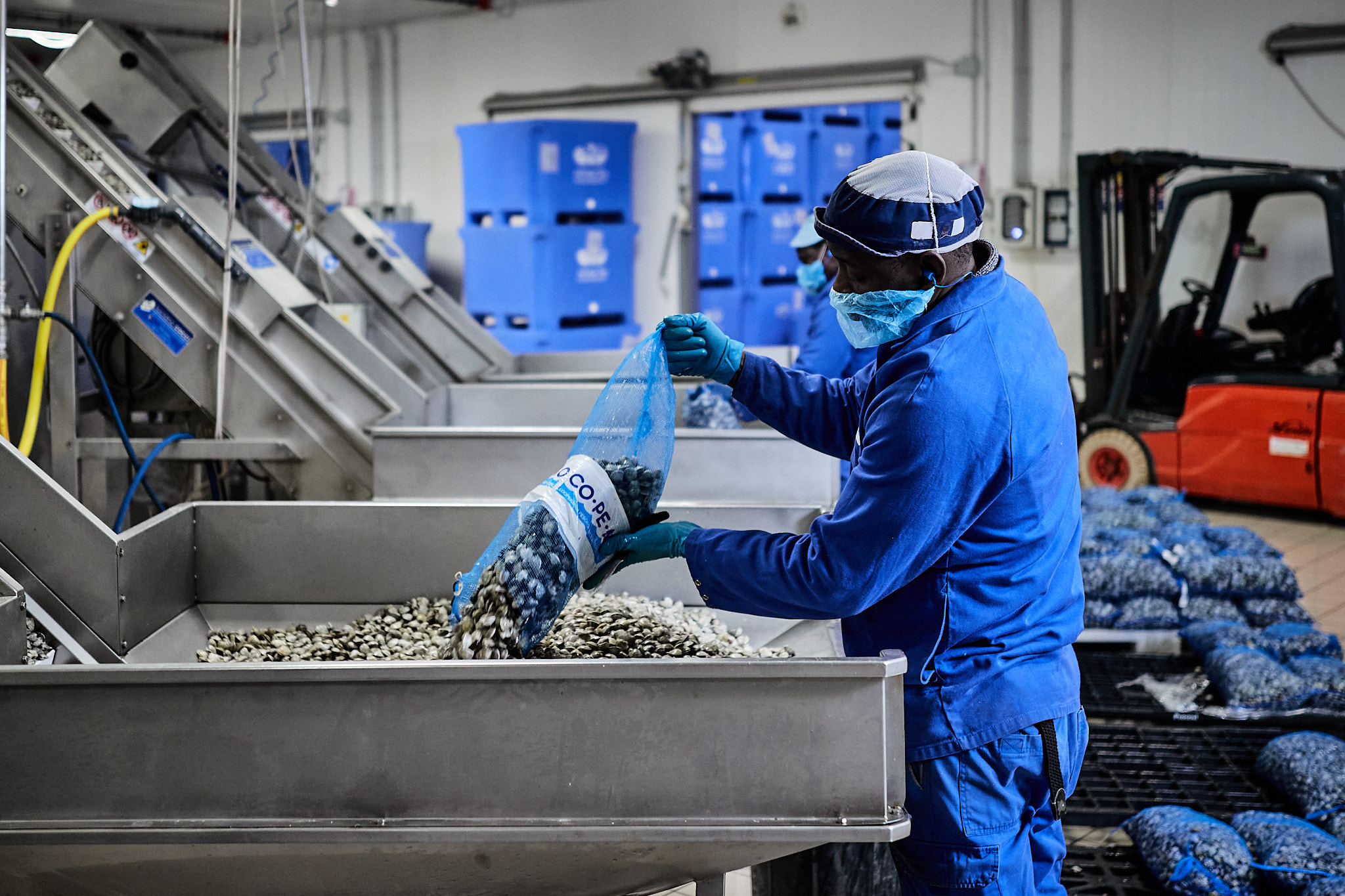 Shellfish from Italy | Copemo